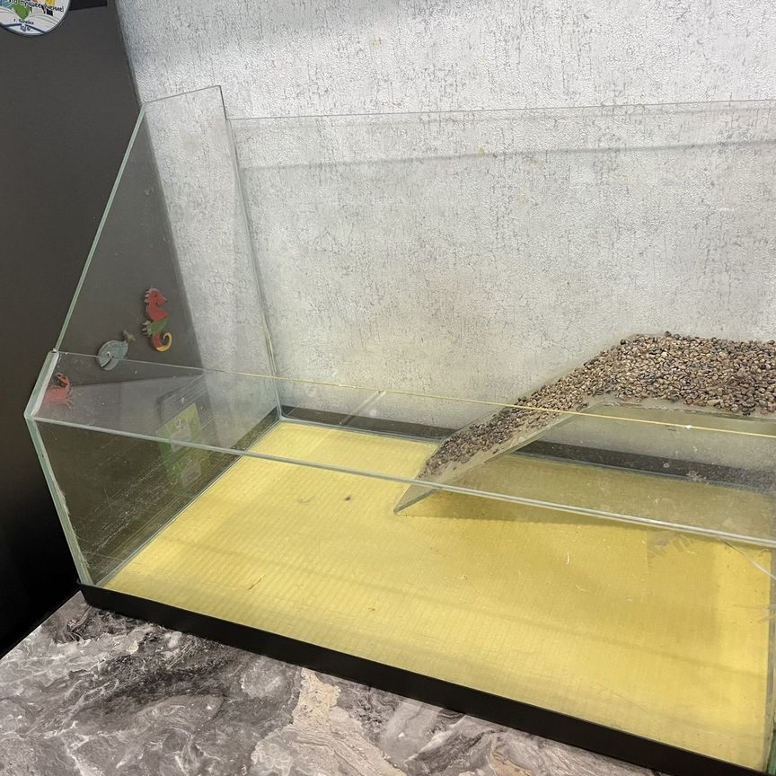 Аквариум для красноухой черепахи