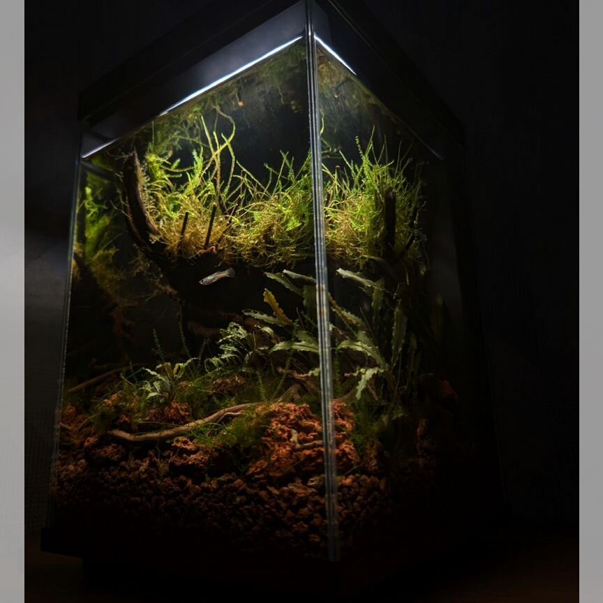 Умный аквариум Xiaomi Mijia 10л