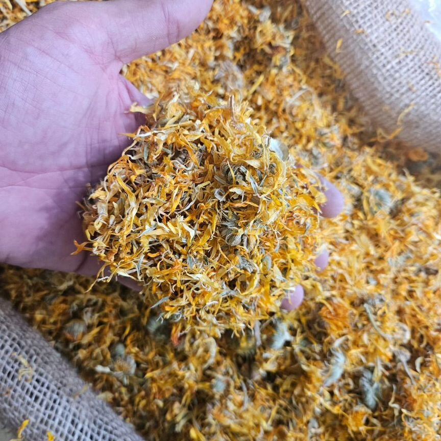 Сено в брикетах