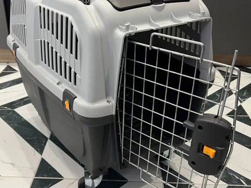 Аренда переноски для животных