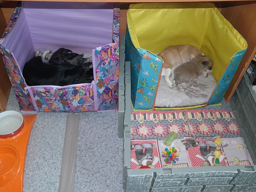 Ясли для новорожденных щенков