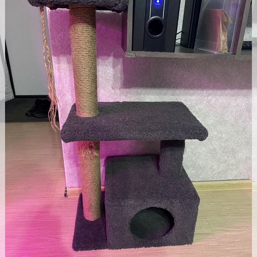 Когтеточка