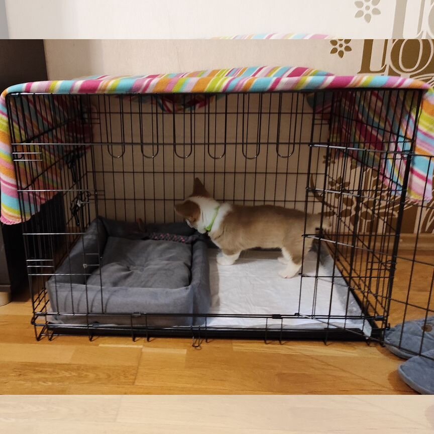 Клетка / вольер Wild - town для собак номер 4