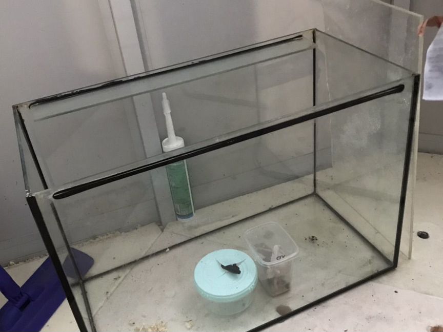 Аквариум герметичный