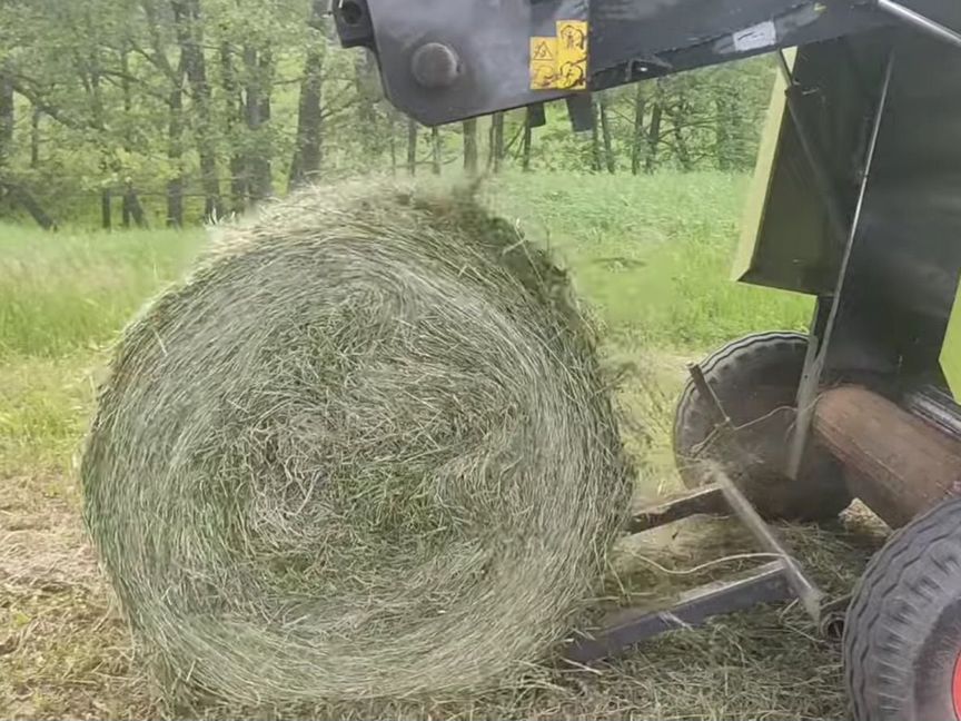 Сено сезона 2022