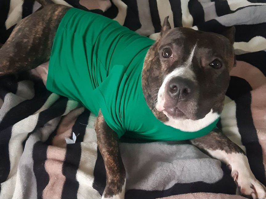 Приглашаем на вазку