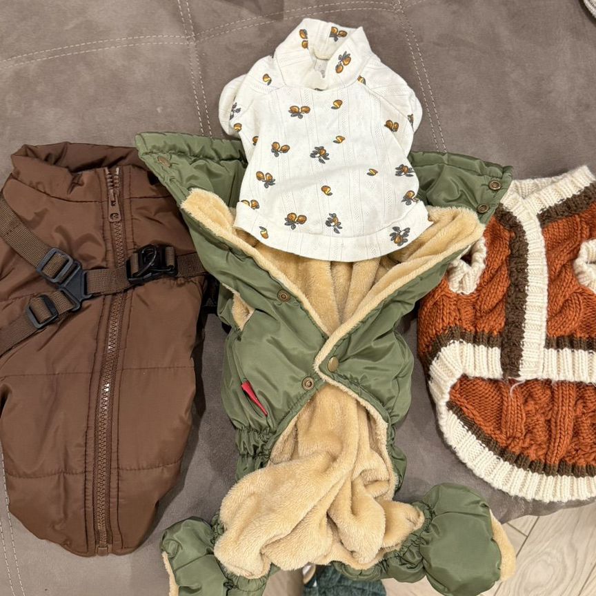 Одежда для собак