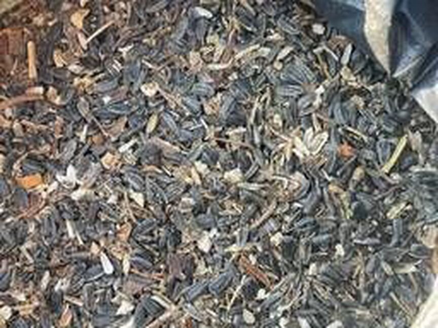 Отходы семечки