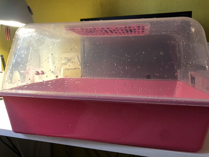 Домик для улиток, хомячков и др