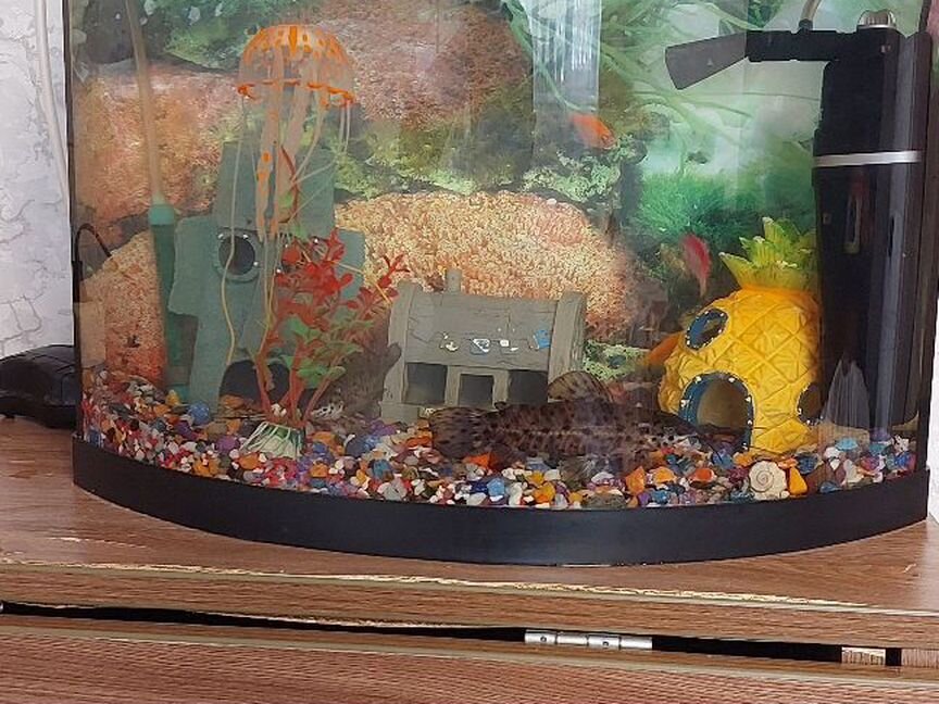 Аквариум с рыбками