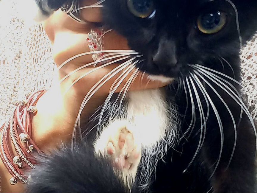 Кошечка Чернушка с носочками 3 месяца