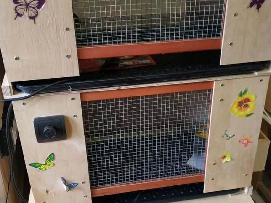 Супер брудер для цыплят