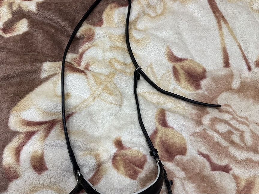 Чешский капсуль для лошади