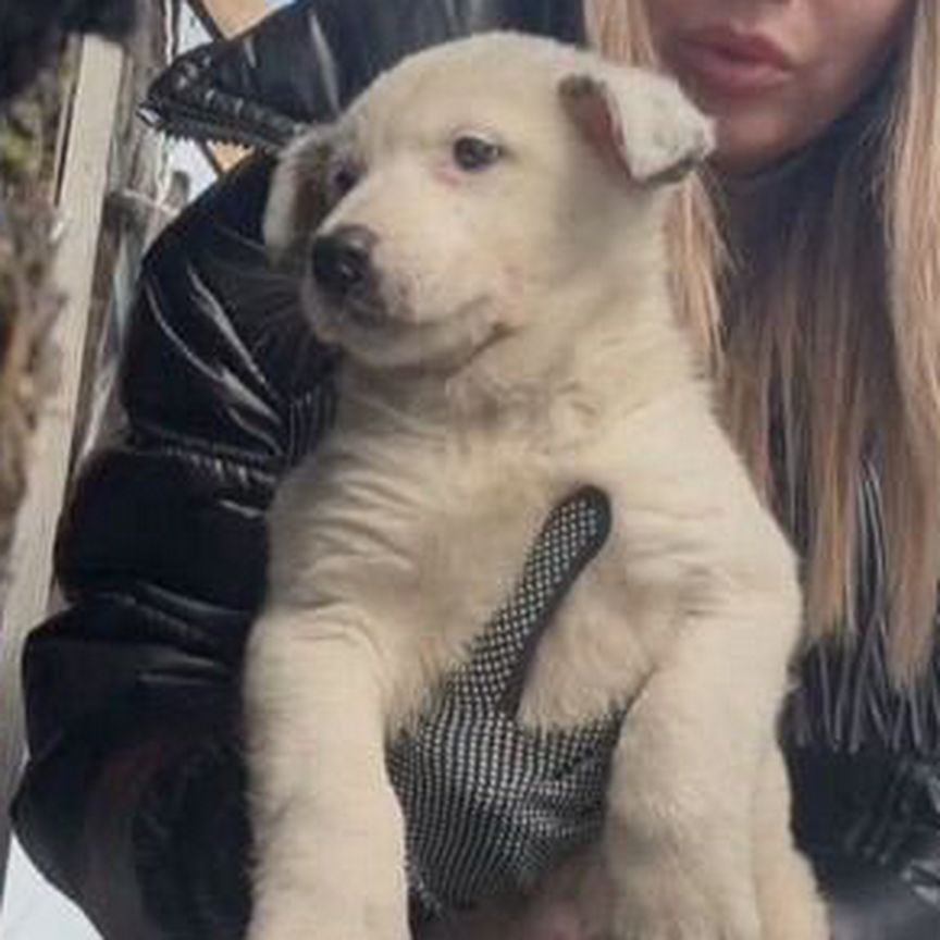 Мальчик ищет дом