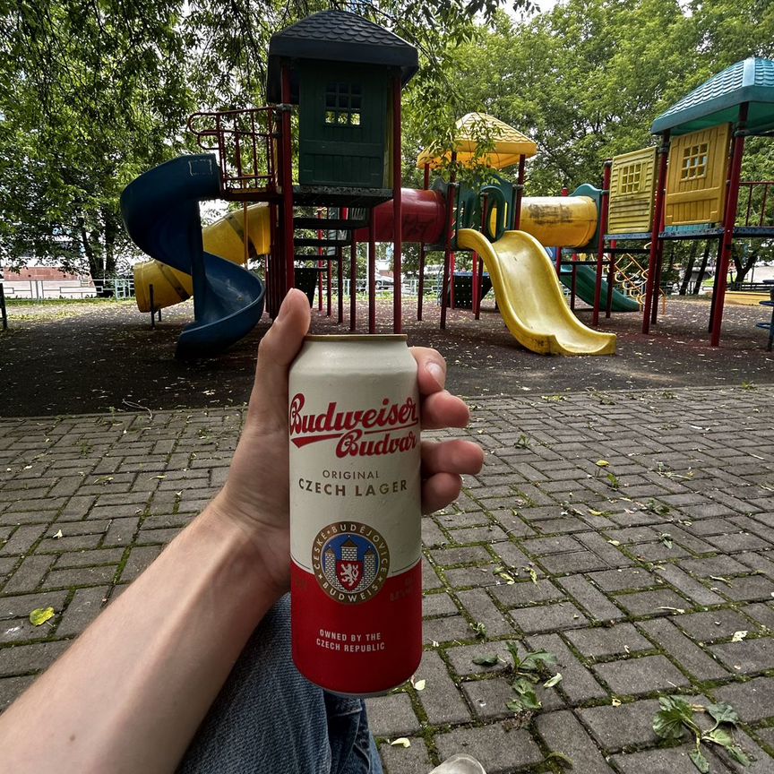 Молодой петух 9м