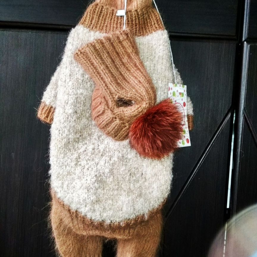 Зимний комплект для маленькой собачки