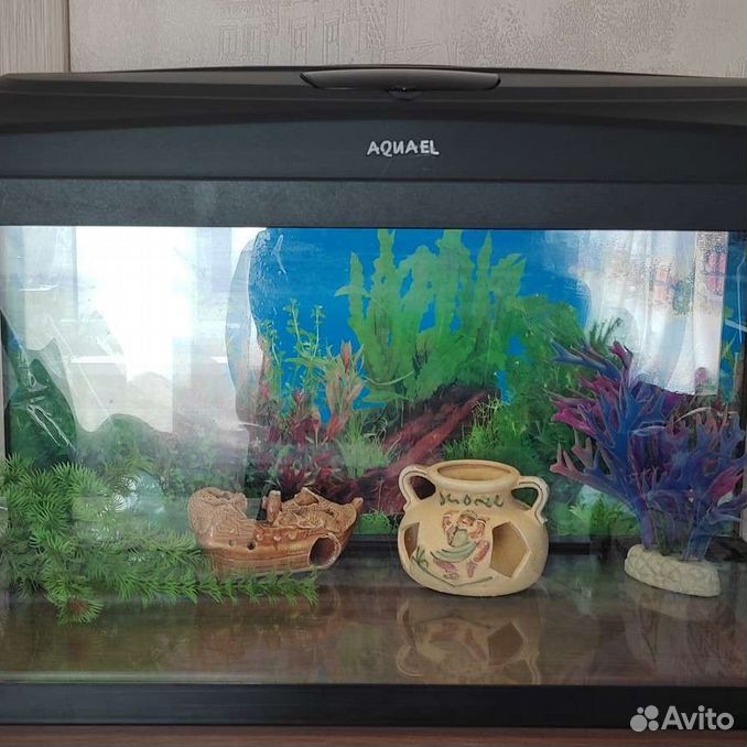 Продам аквариум Aqual 54л (60*30*30см)