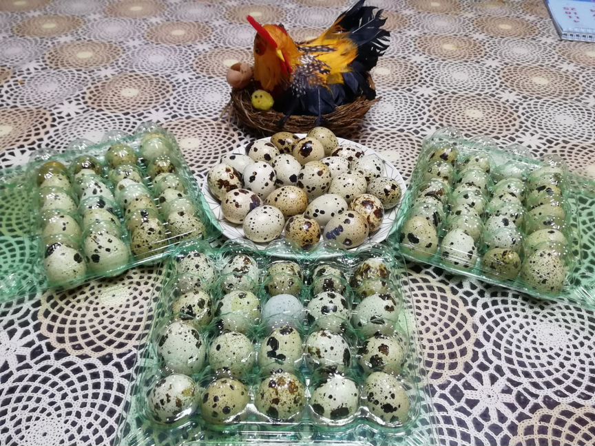 Яйца перепелиные