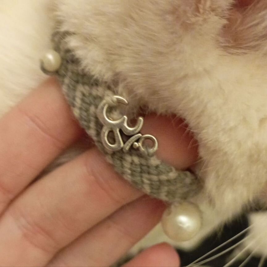 Фенечки для животных, ошейники, шлейки, адресники