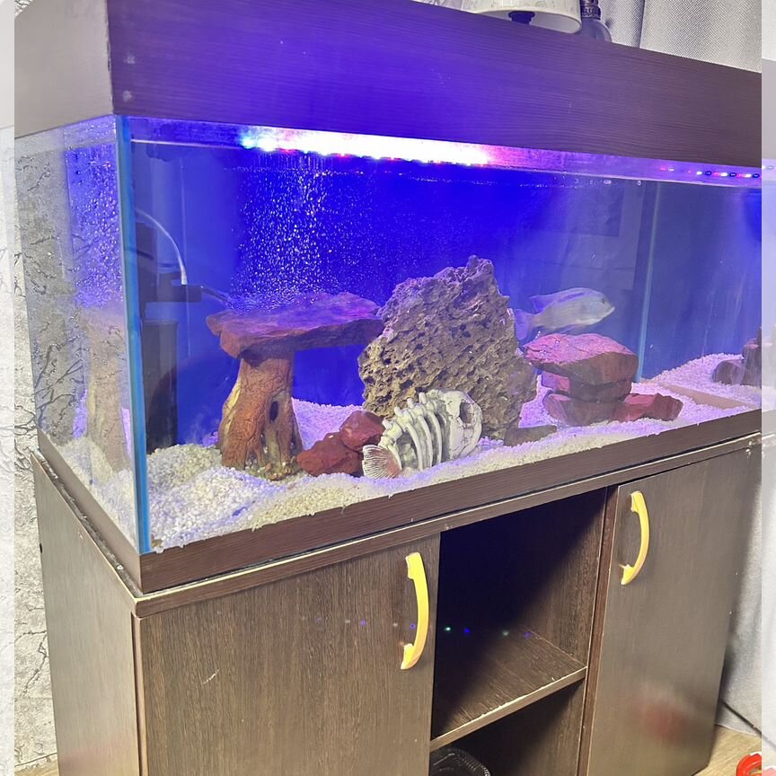 Аквариум 250л