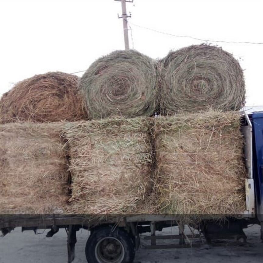 Продам сено в рулонах
