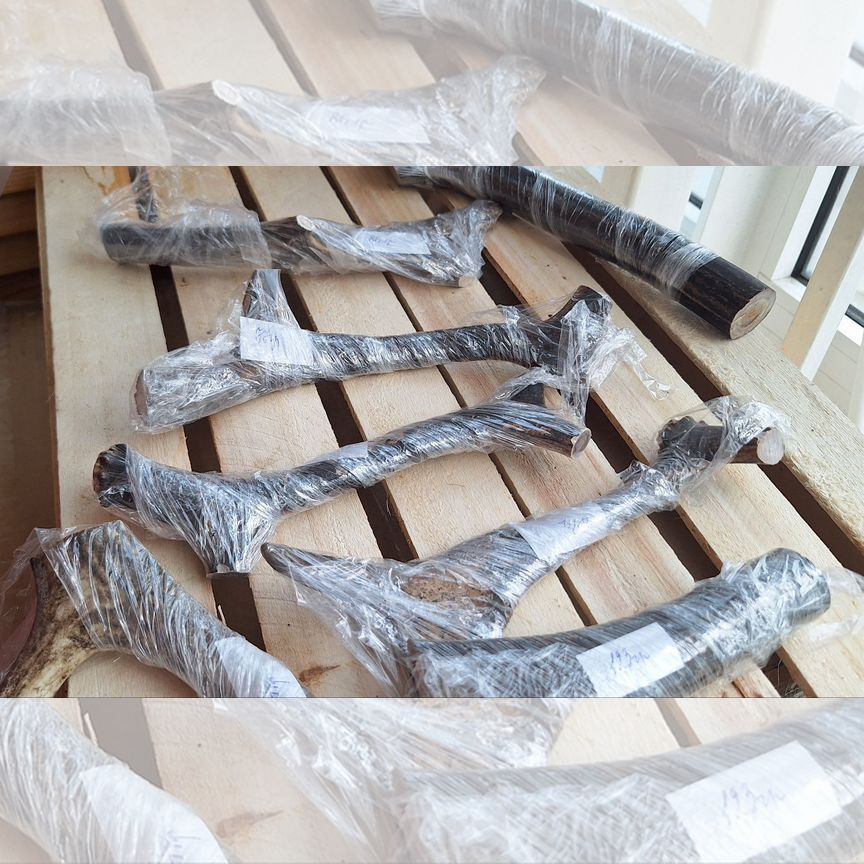 Оленьи рога для собак