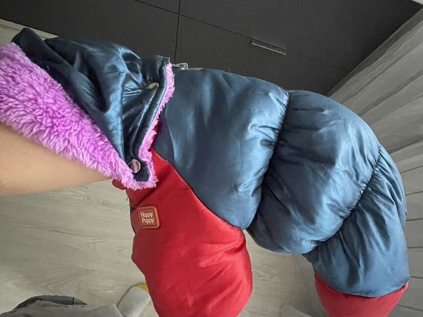 Костюм для кошки