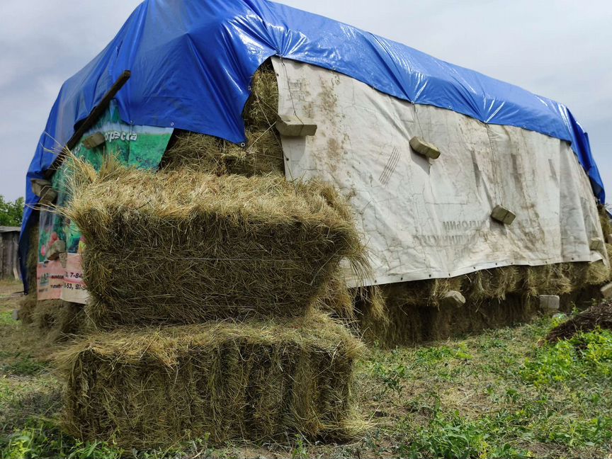 Сено в тюках