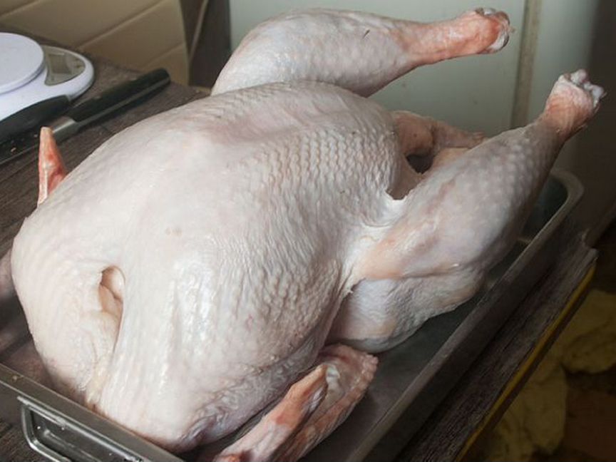 Мясо индейки
