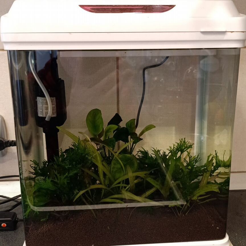 Аквариум barbus 17 литров