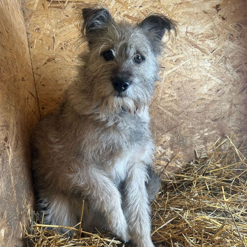 Мальчишка в дар