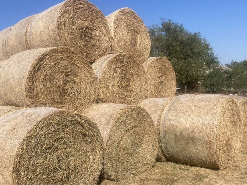 Сено в рулонах 2023