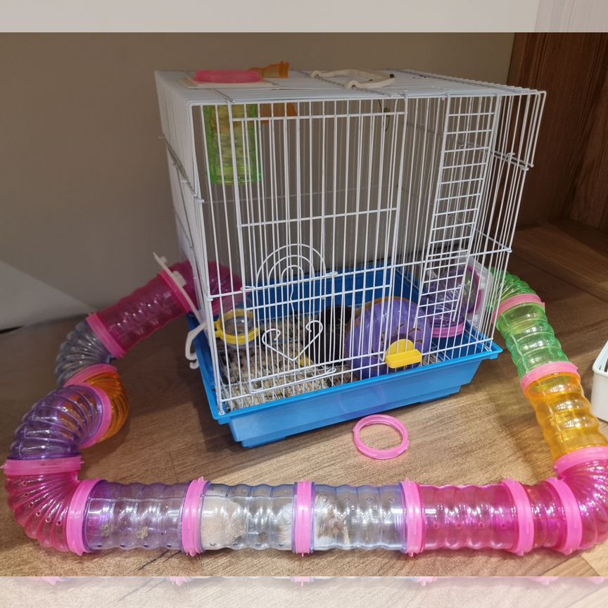 Клетка для грызунов