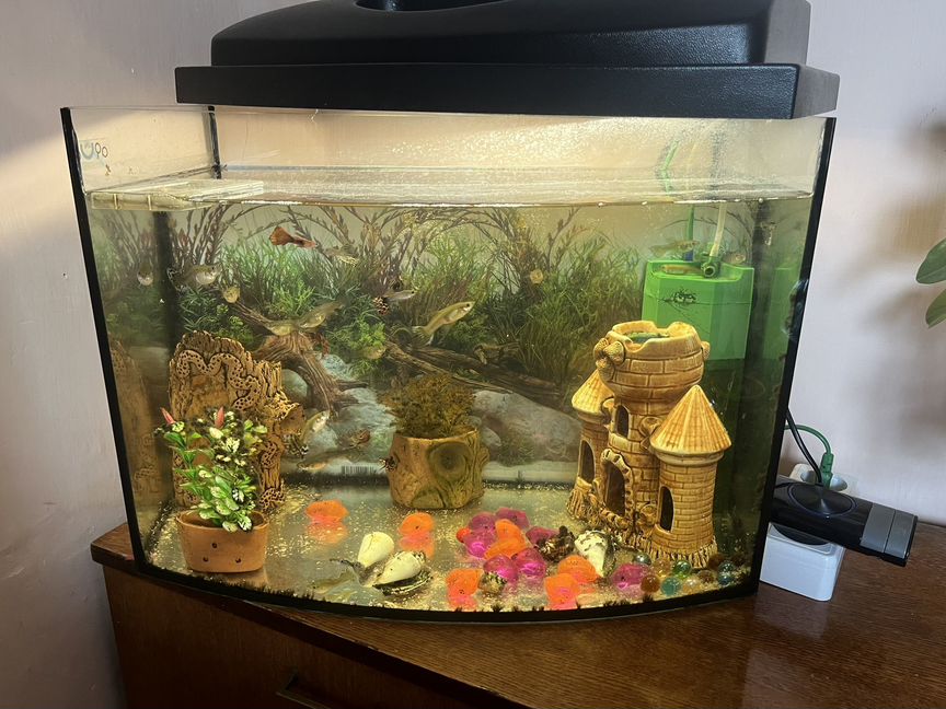 Украшение для аквариума;аквариум ; рыбки ;гуппи