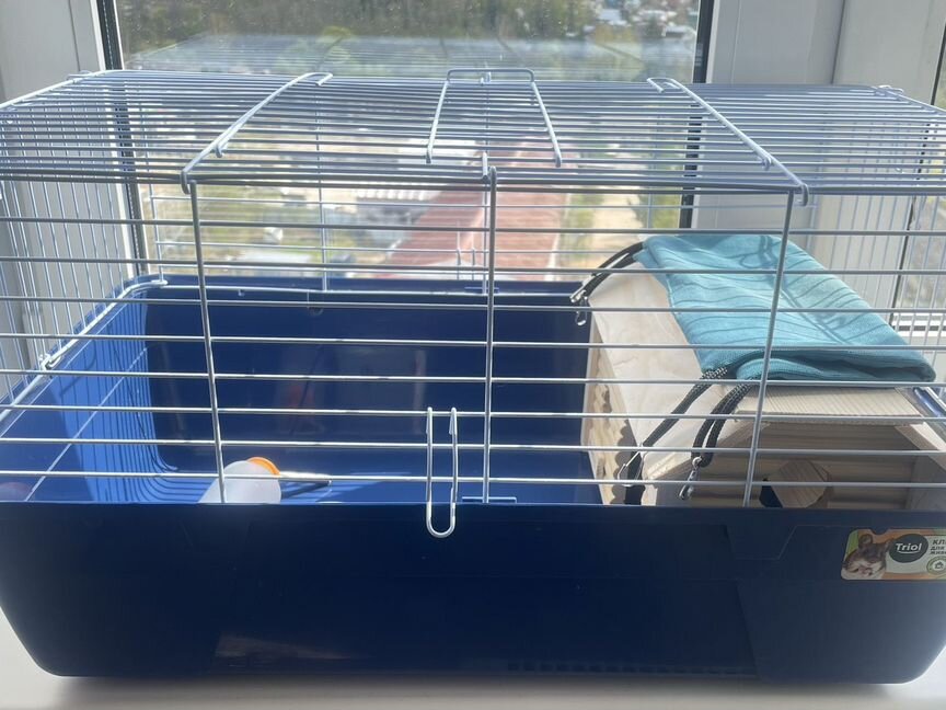 Клетка для морской свинки