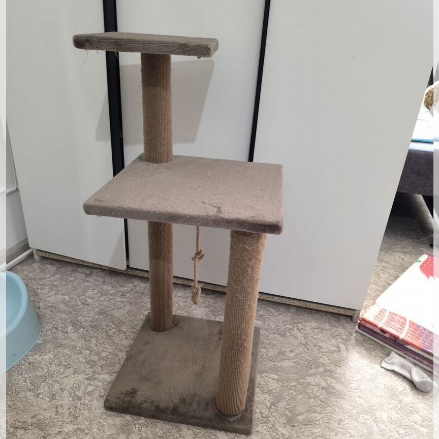 Когтеточка