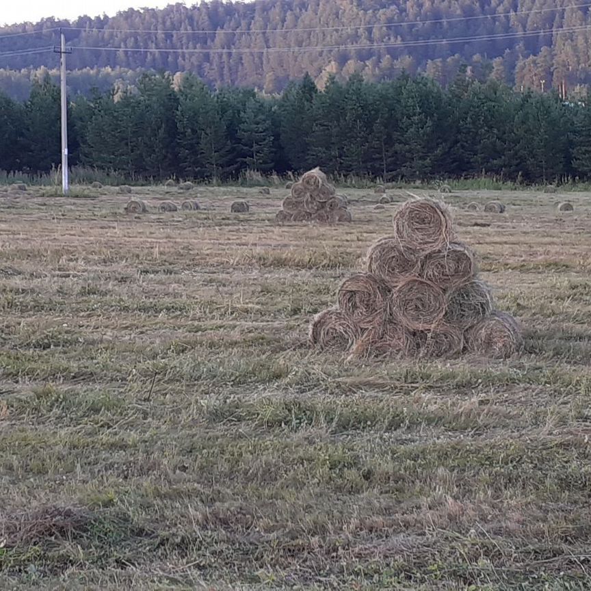 Сено в рулонах