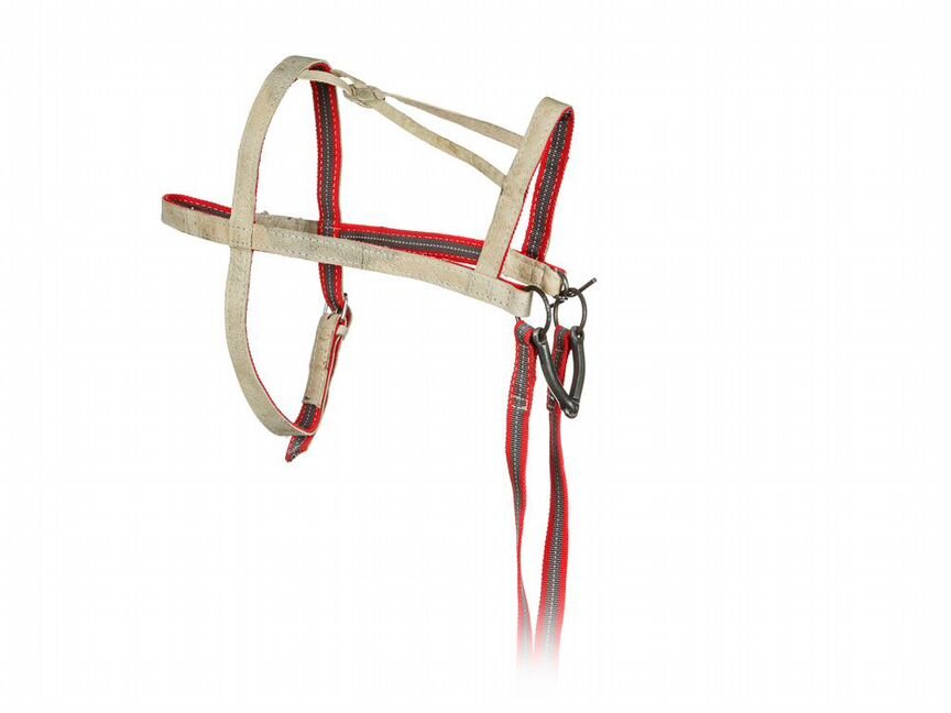 Узда для лошади (сыромять)