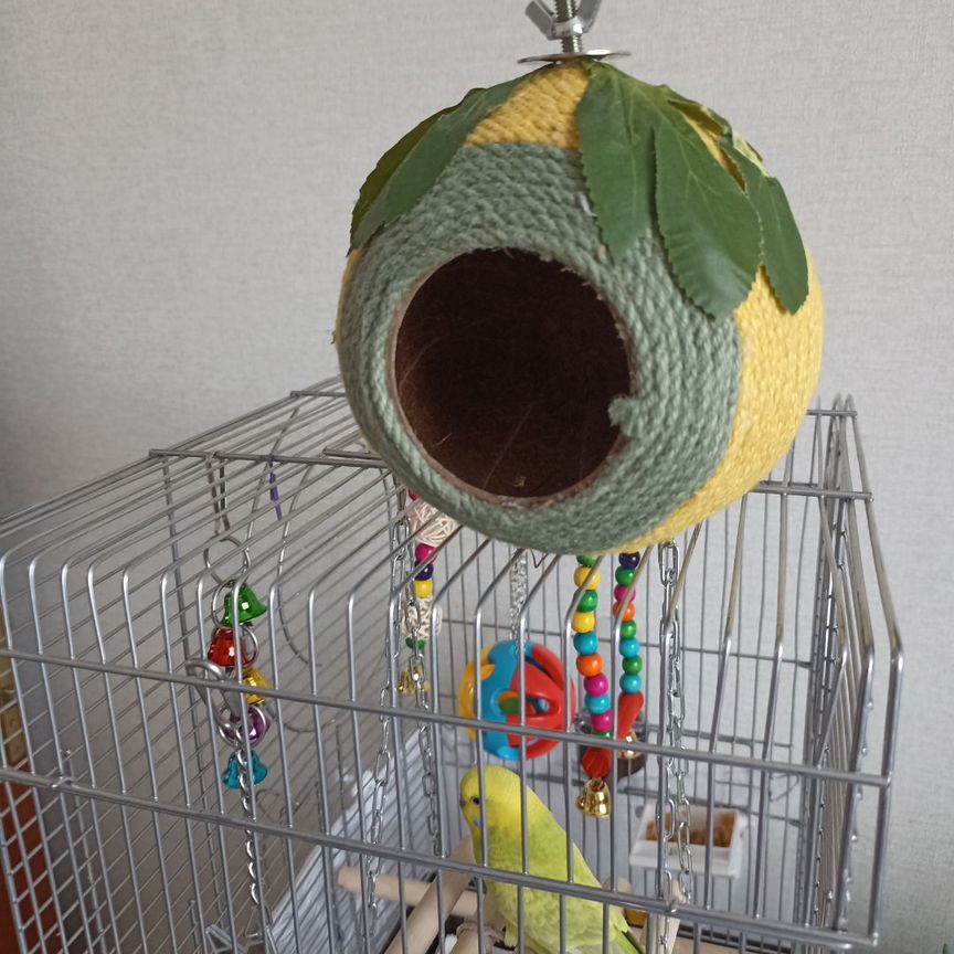 Попугай. Гнездо для попугаев