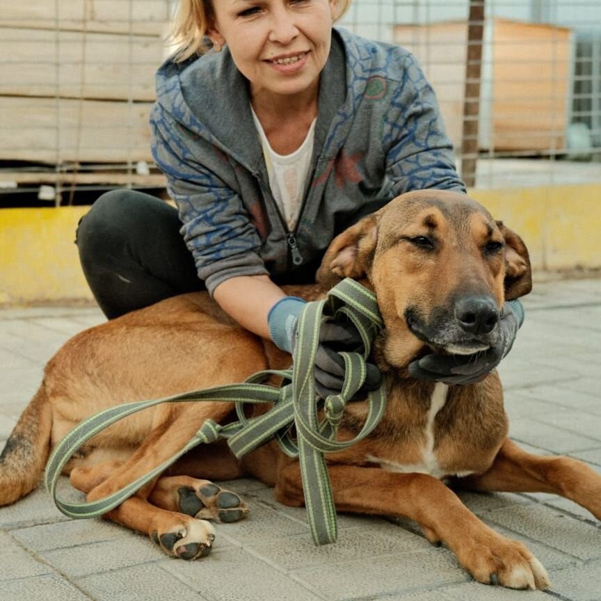 Мира в добрые руки