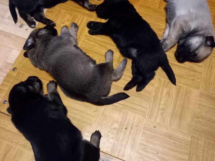 Очаровательные мальчики