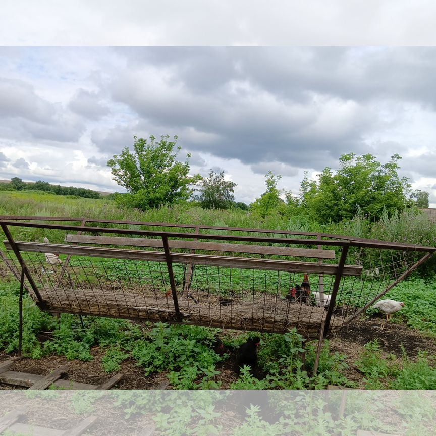 Кормушка для овец