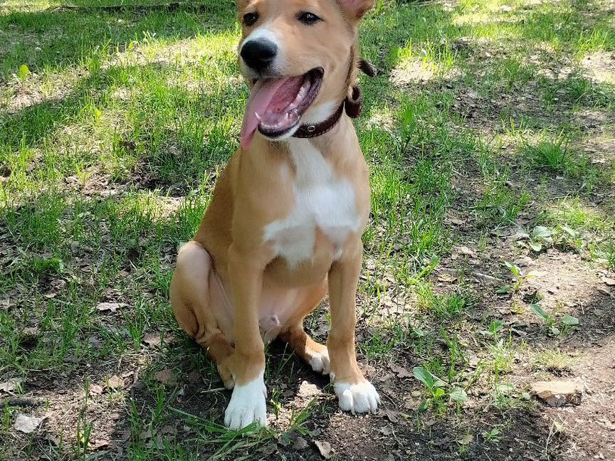 Остался один