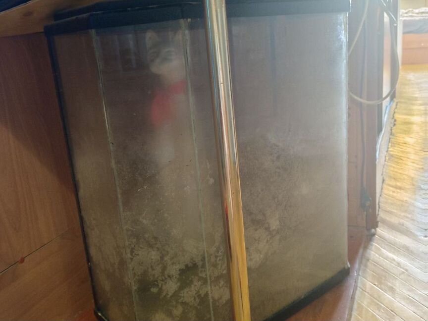 Аквариум на 50 литров