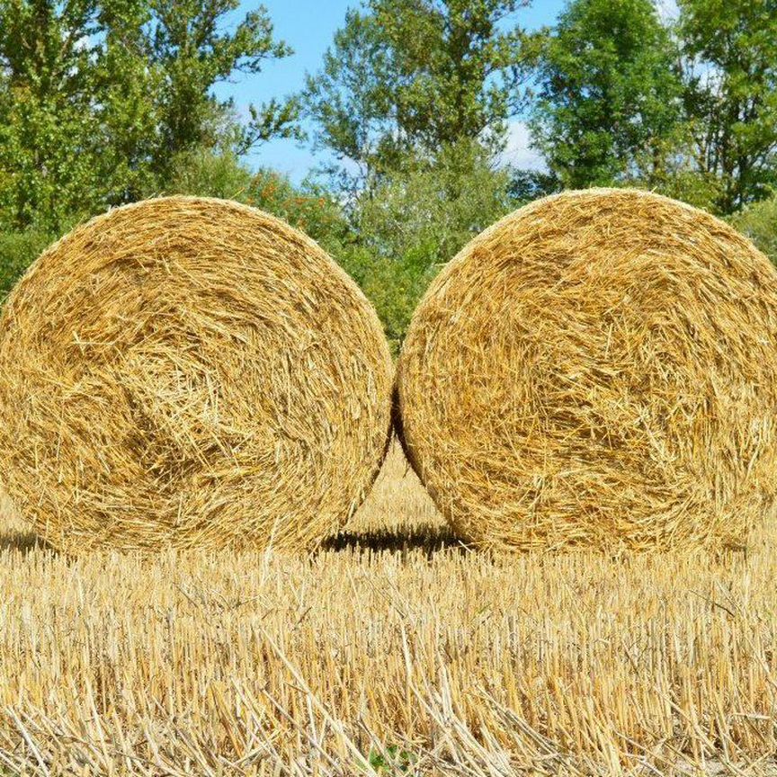 Солома в тюках