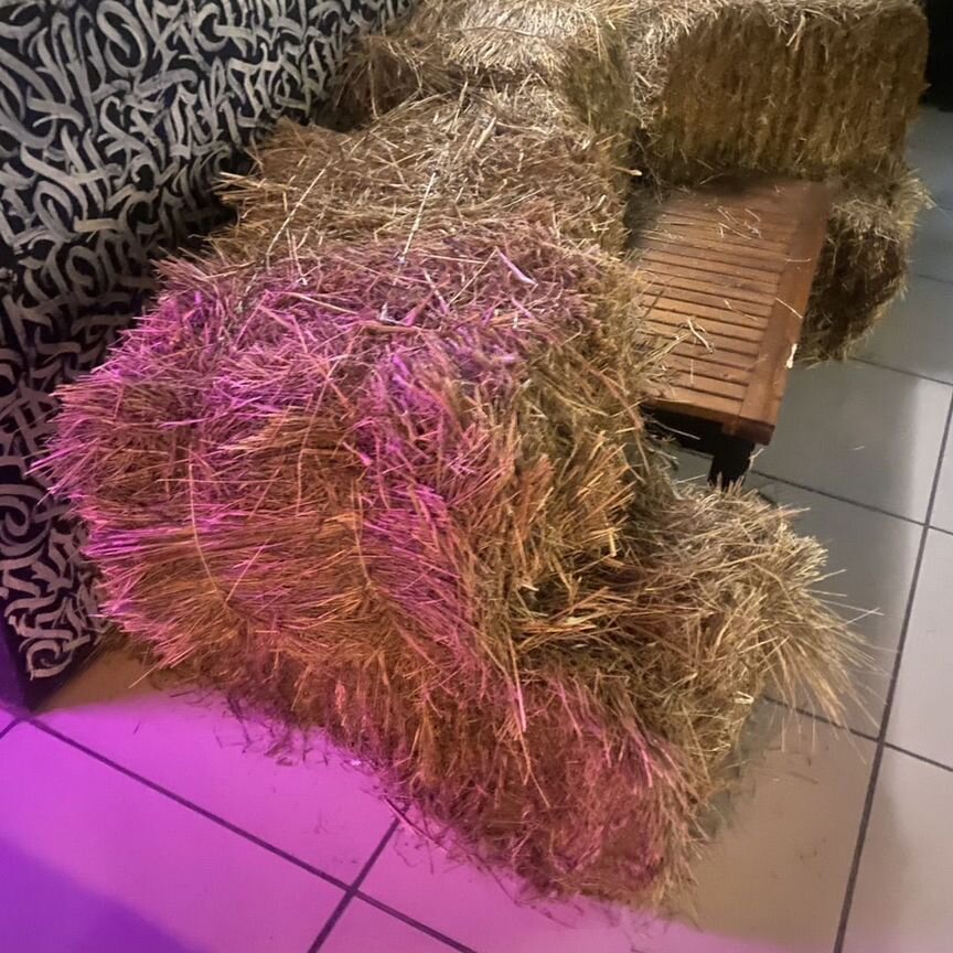 Сено в тюках