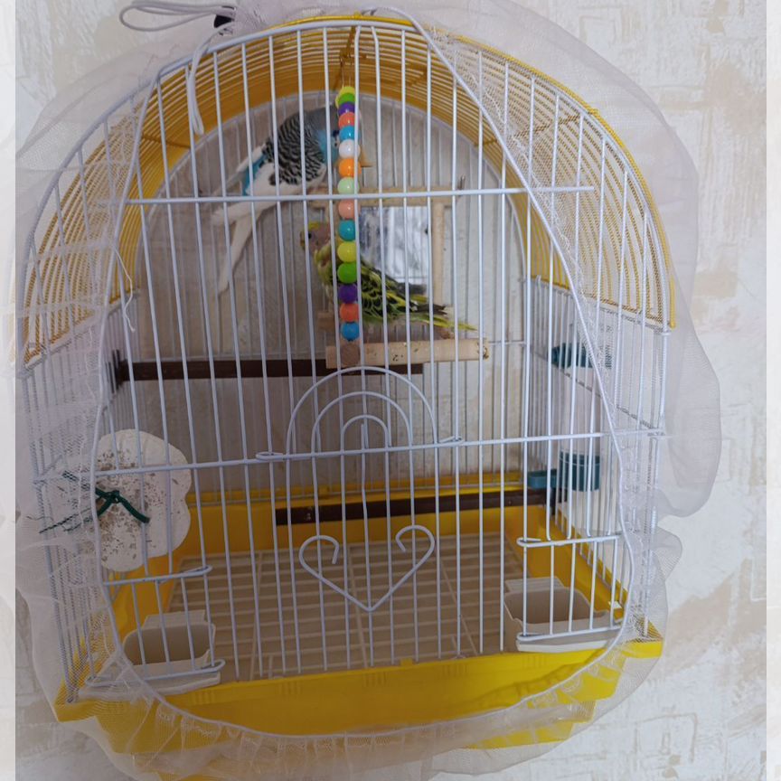Волнистый попугай с клеткой