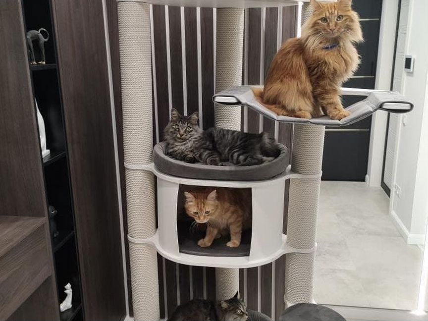 Когтеточка домик для кошки