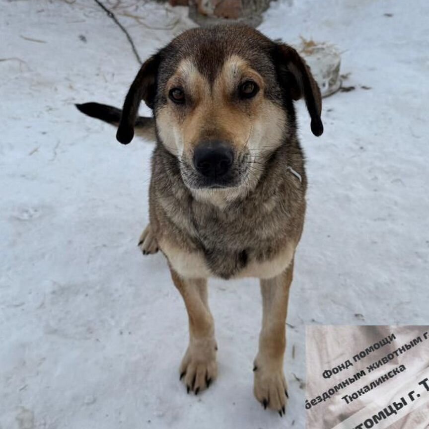 Ева ищет дом