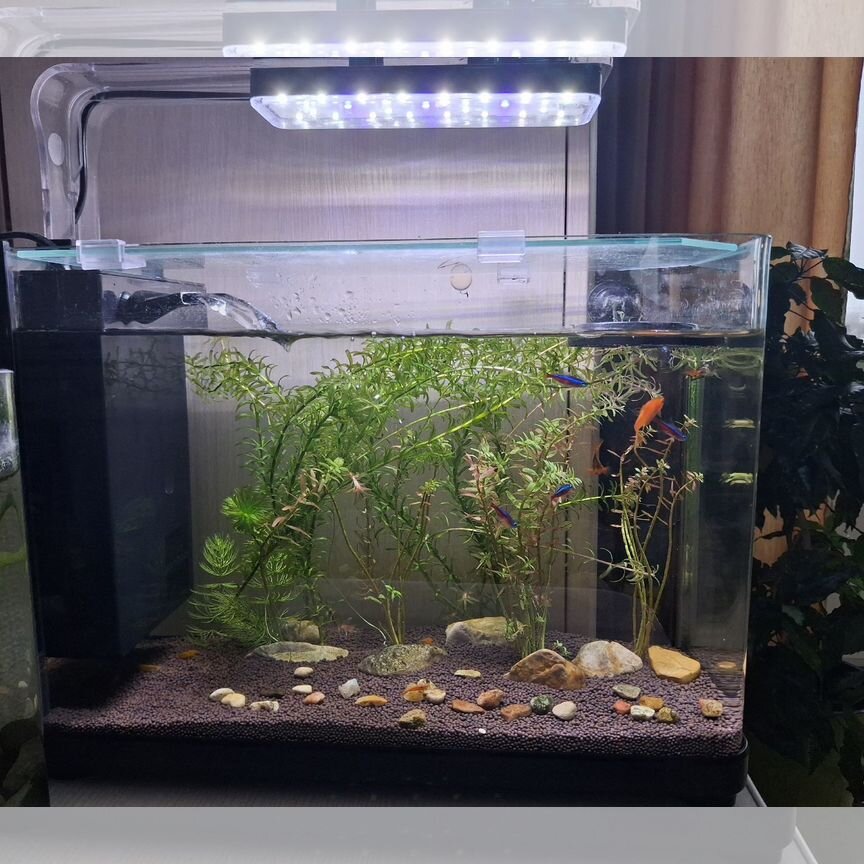 Аквариум 13 литров